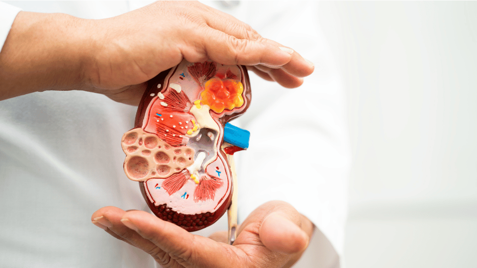 Nefrolog - Jakie leczy choroby i kiedy iść? - eDoktorzy.pl